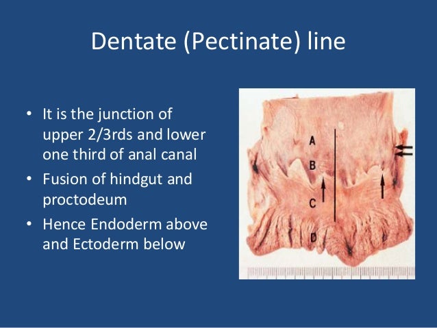 SLOFT SURGERY PRESENTATION