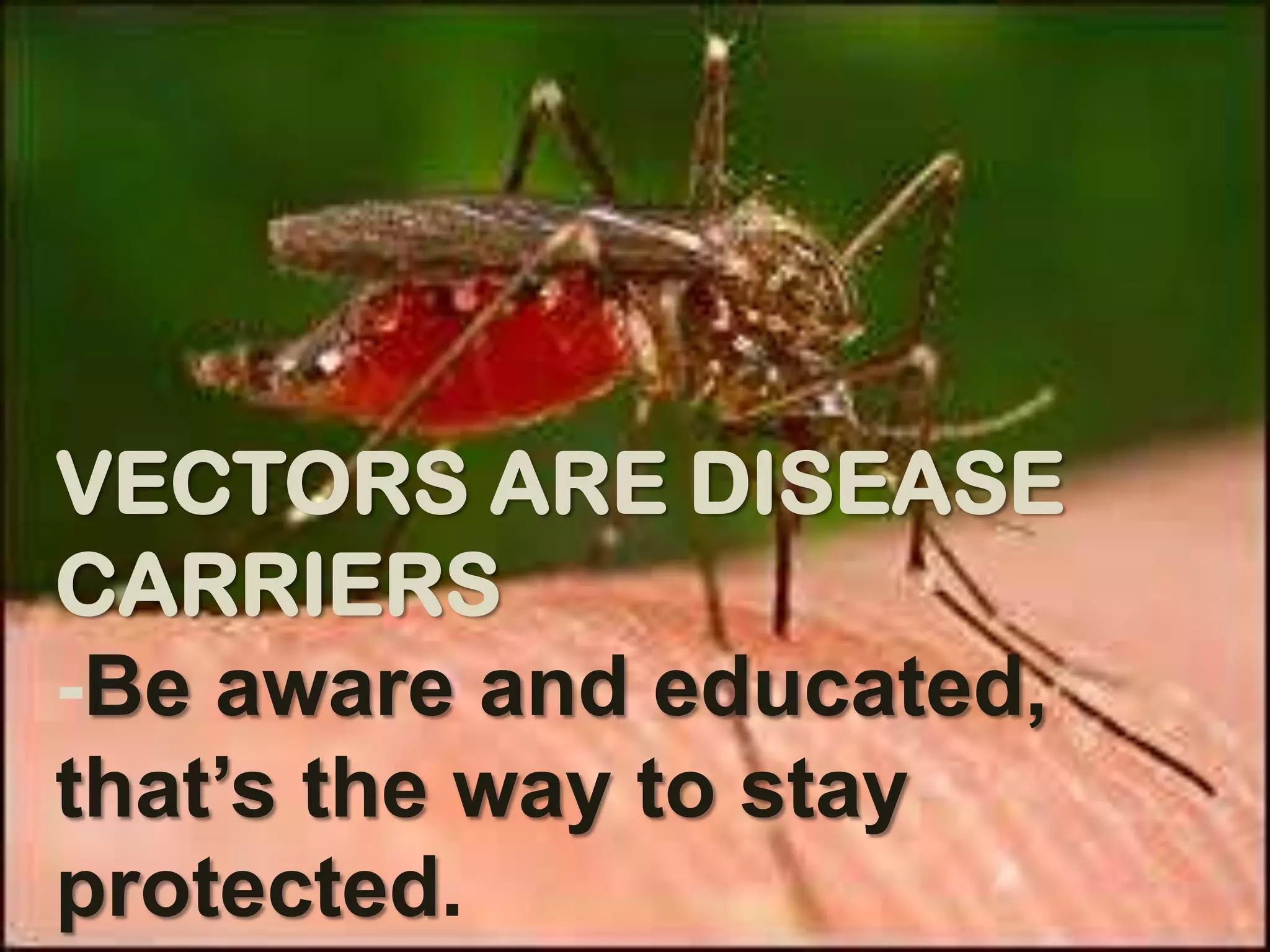 Slogan of the year | PPTX