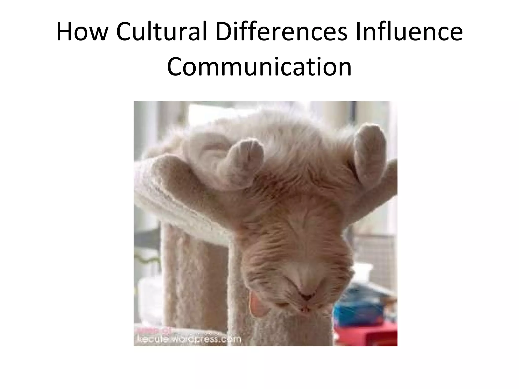 Slogans around the world | PPT | Reptiles | Pets