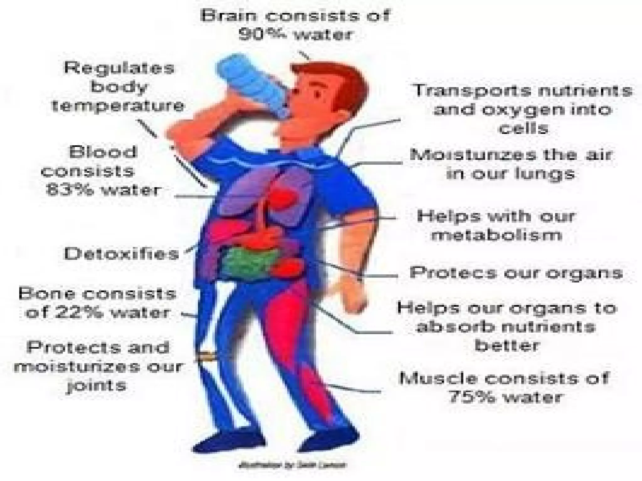 Slogans On Water Conservation By Shantanu PPT slogans-on-water-conservation-by-shantanu-ppt