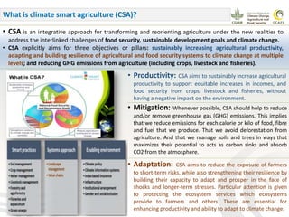 Climate-Smart Agriculture (CSA): What is it? Why is it needed? | PPTX