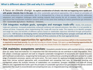 Climate-Smart Agriculture (CSA): What is it? Why is it needed? | PPTX