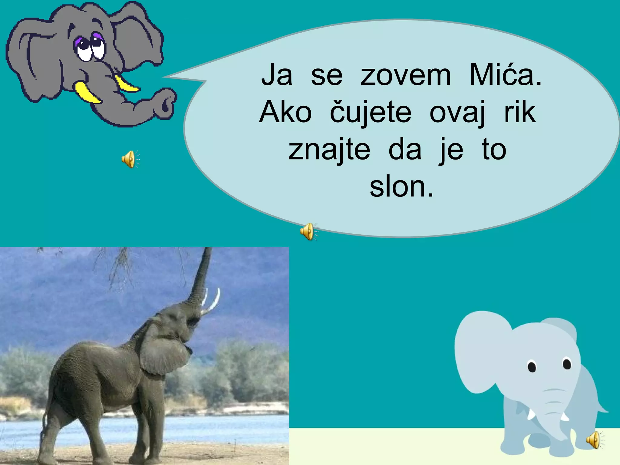 Slon | PPT