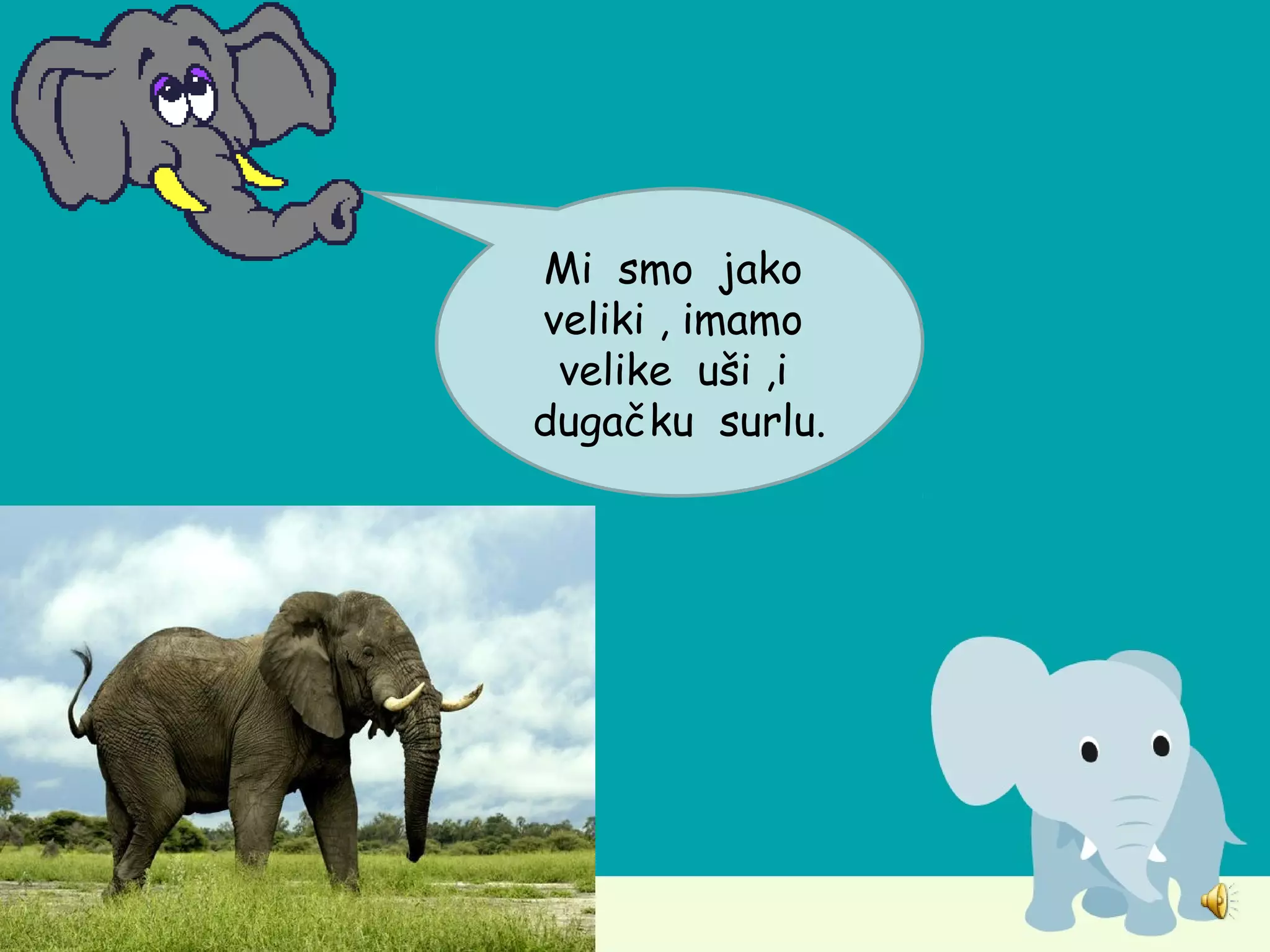 Slon | PPT