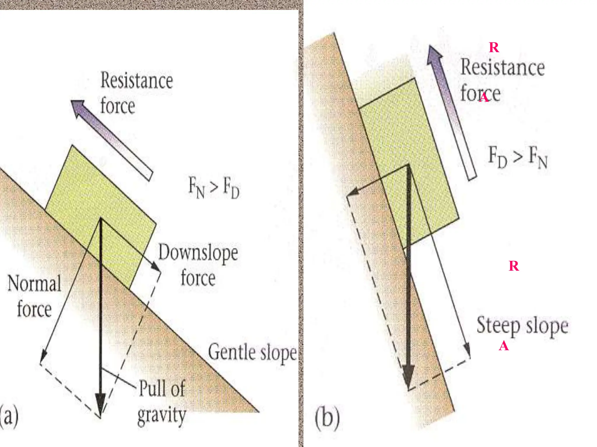 SLOPE PROCESSE 4.pptx