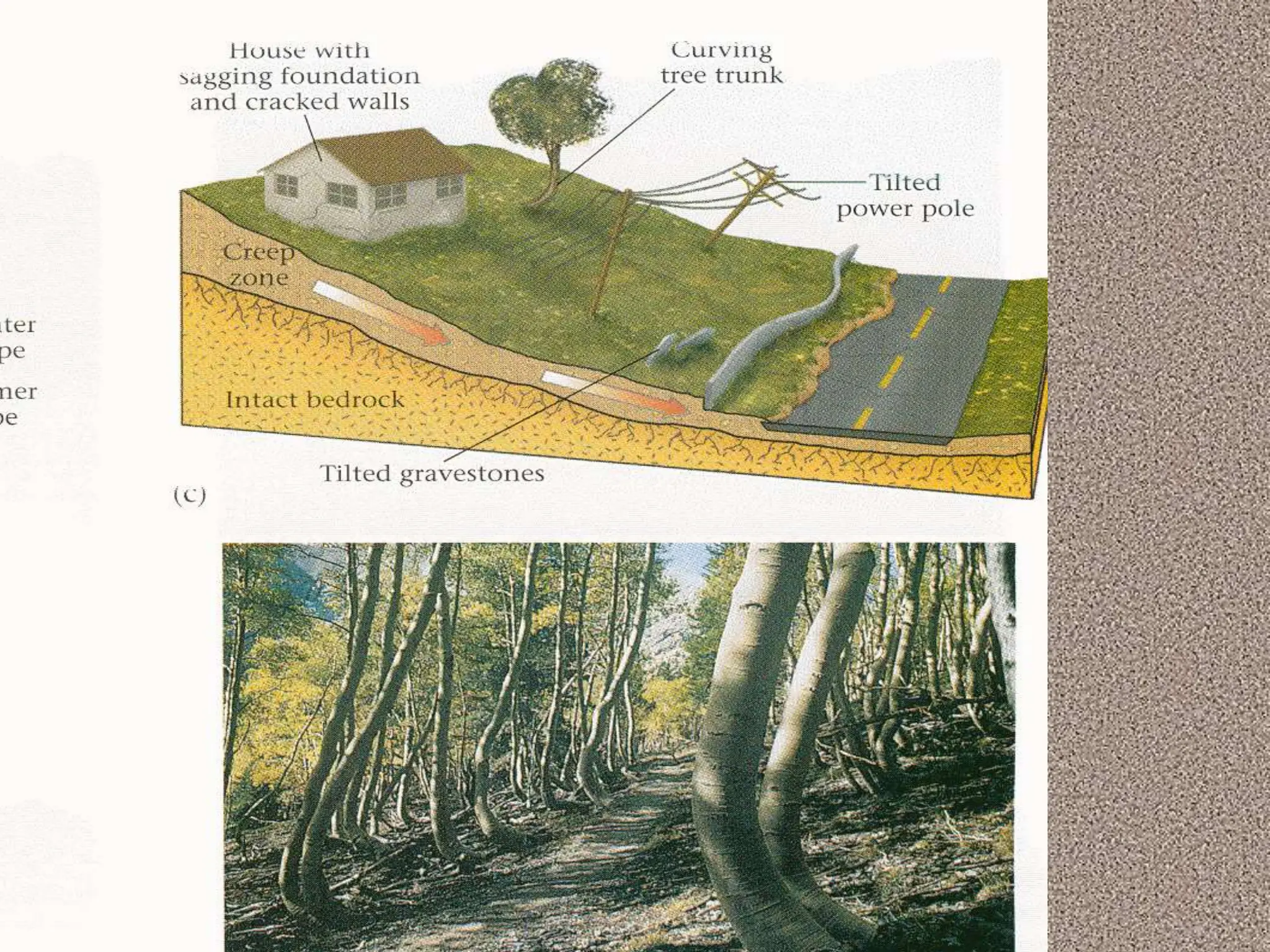 SLOPE PROCESSE 4.pptx