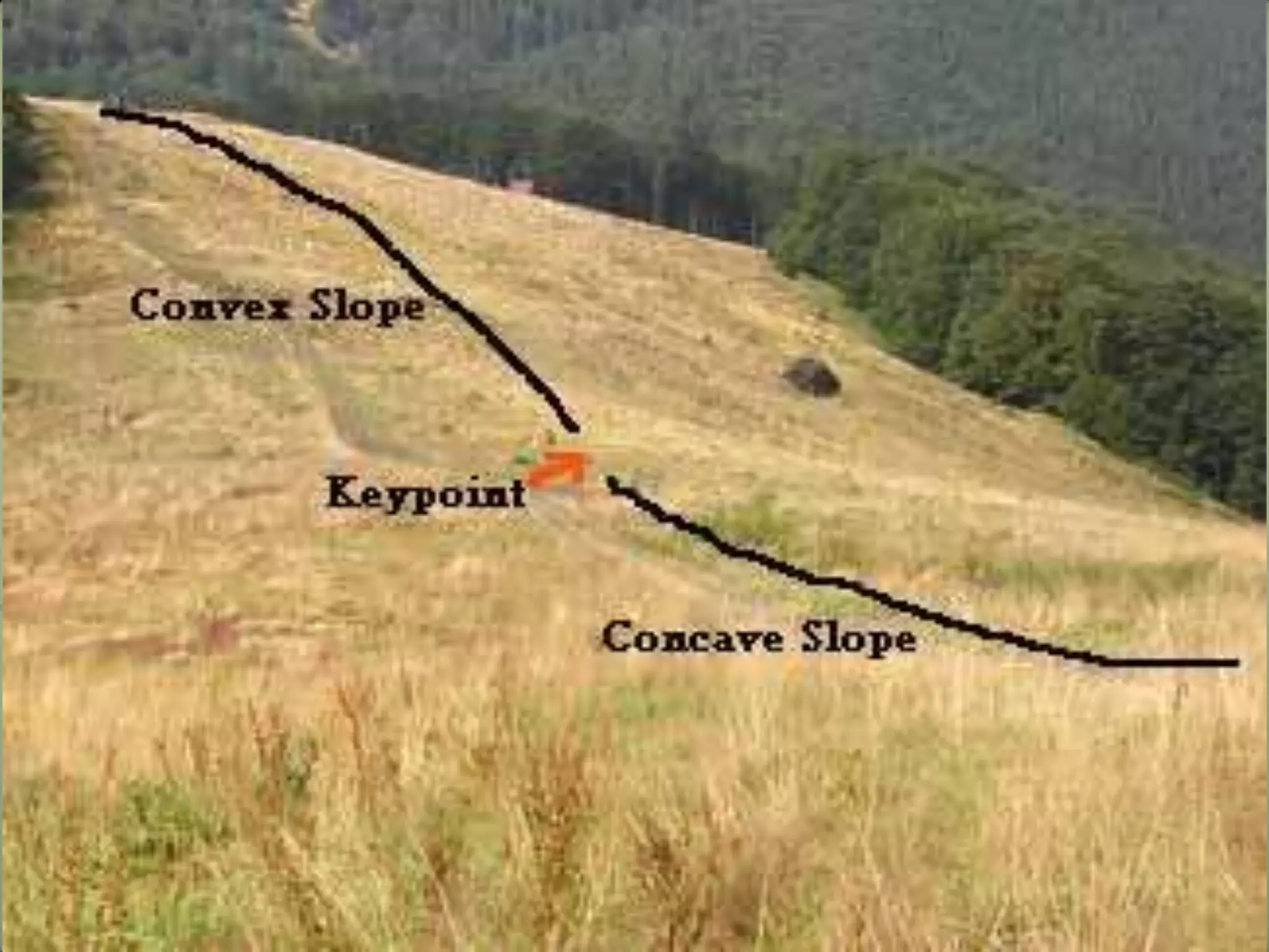 Slope, processes & development lesson 8 | PPTX