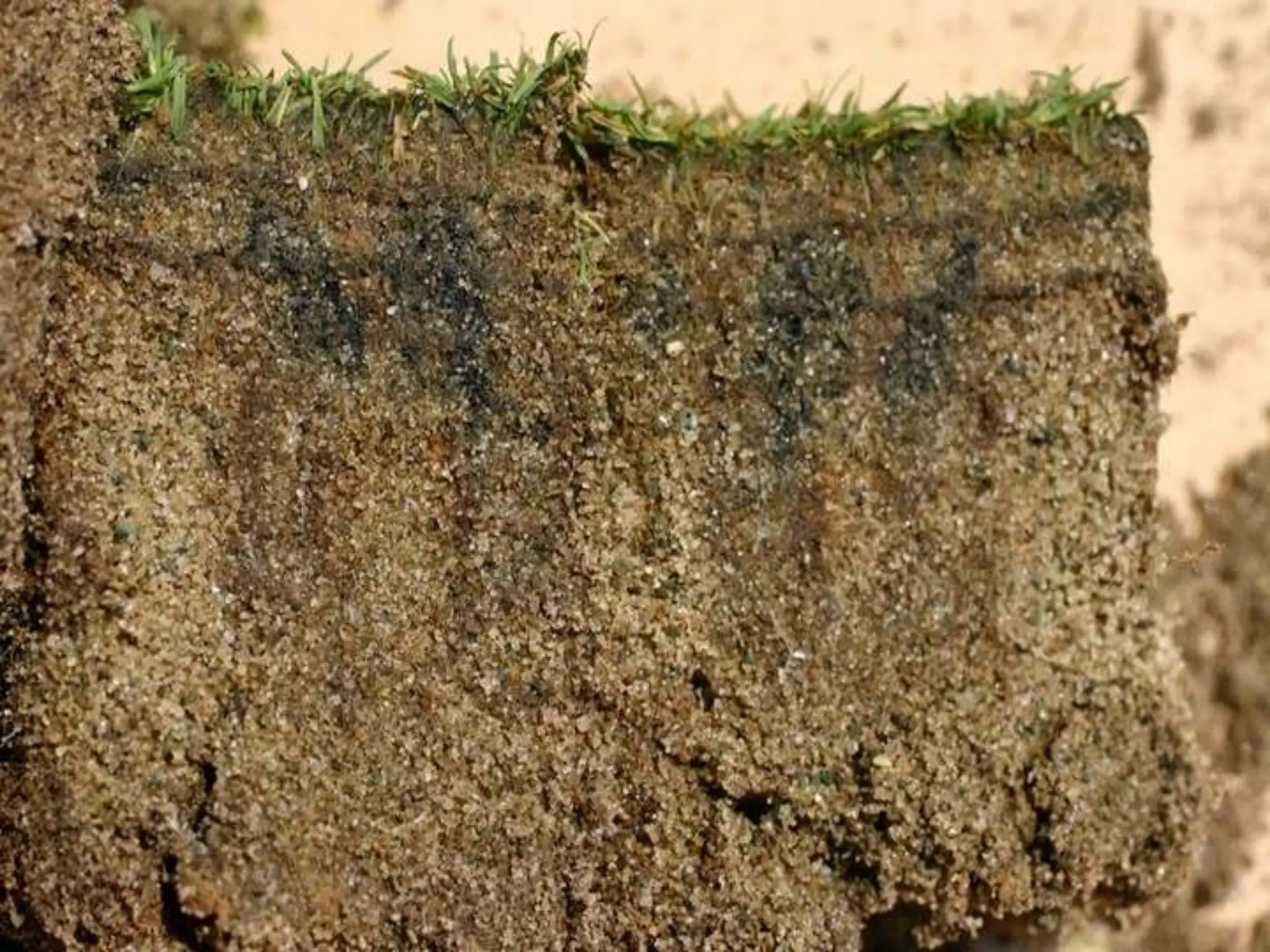 Slope, processes & development lesson 8 | PPTX