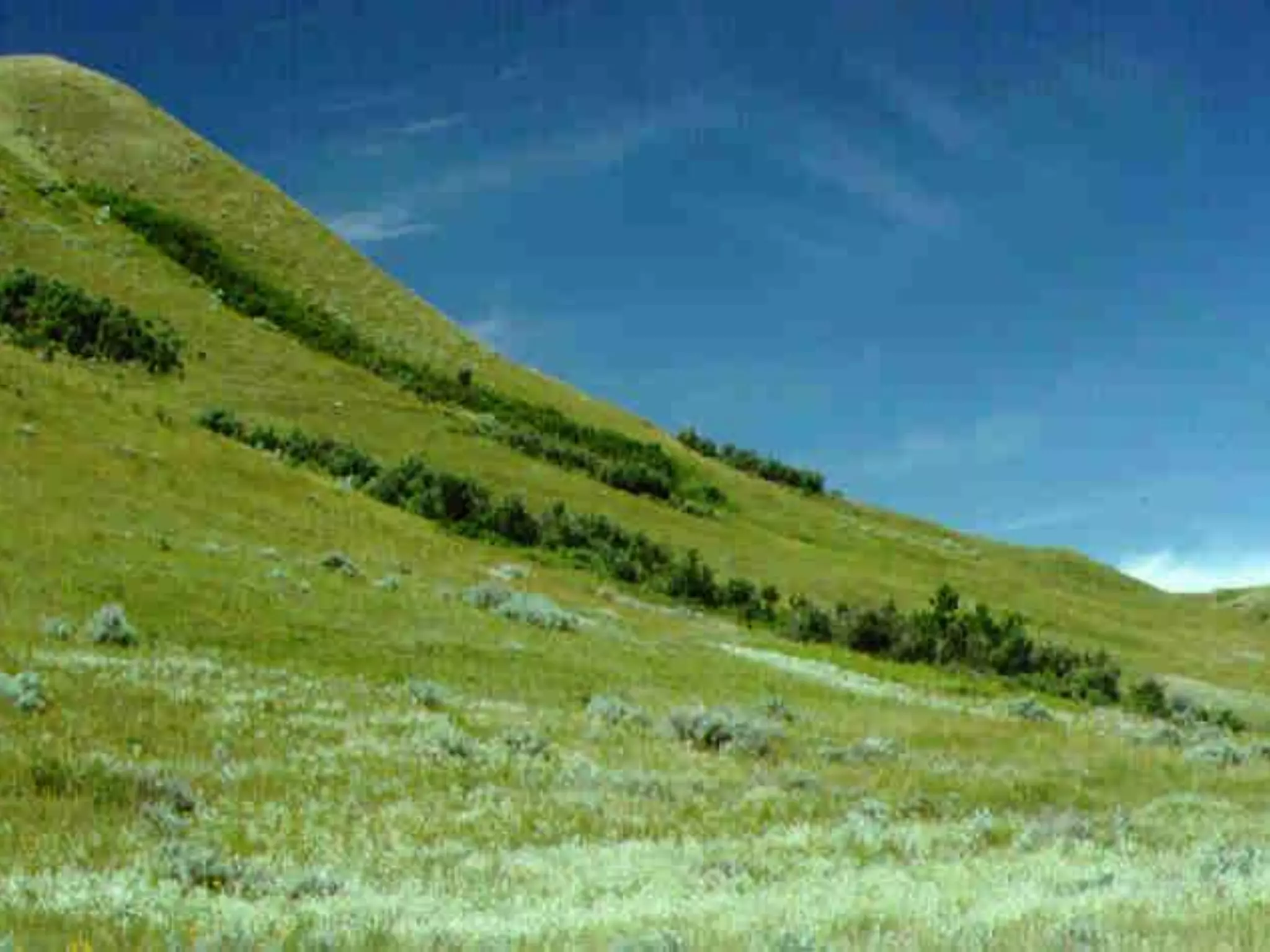 Slope, processes & development lesson 8 | PPTX