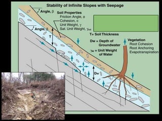 Slope, processes & development lesson 8 | PPTX