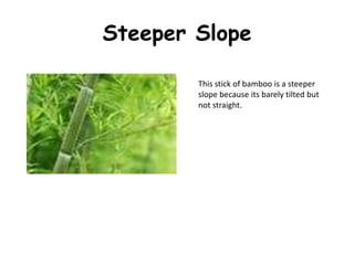Slopes in real life | PPTX