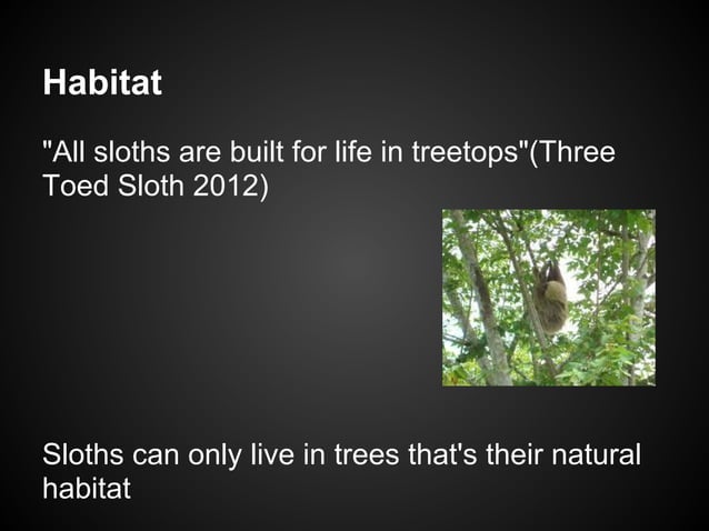 Sloth checkpoint 3 | PPT