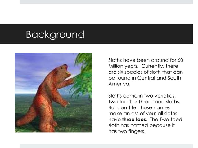Sloth presentation | PPTX