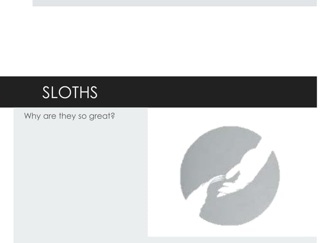 Sloth presentation | PPTX