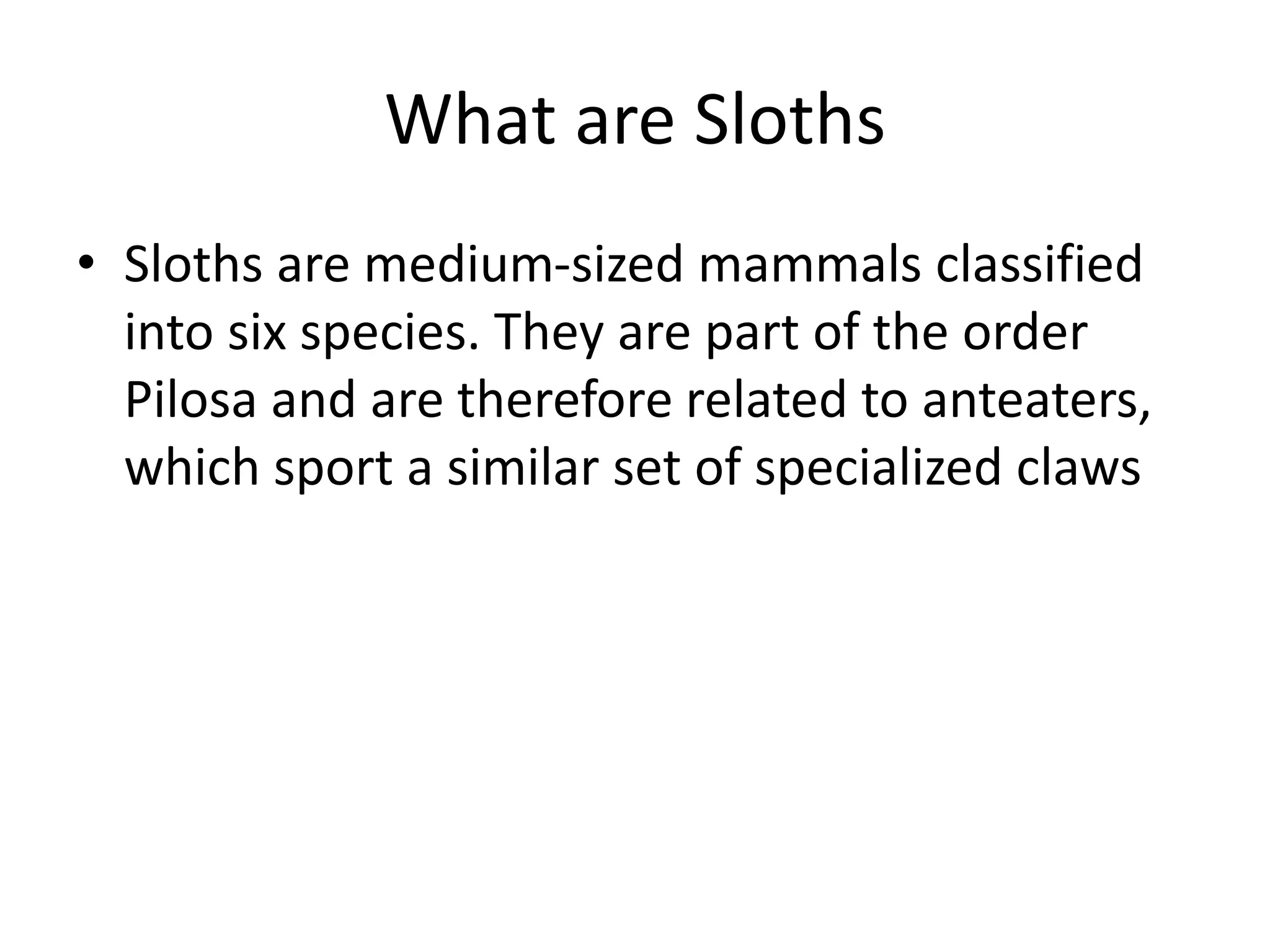 Sloths | PPTX
