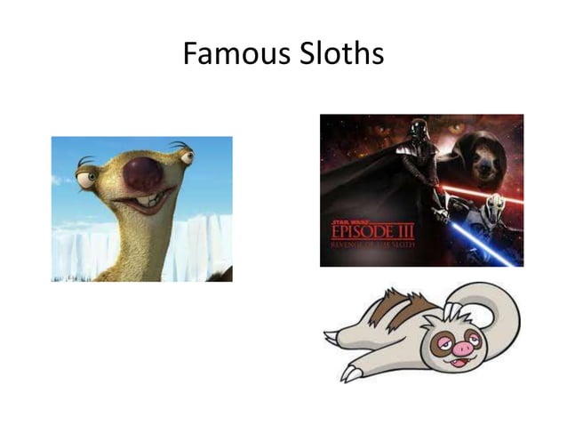 Sloths | PPTX | Reptiles | Pets
