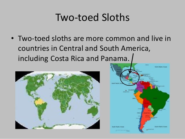 Where Do Sloths Live Map