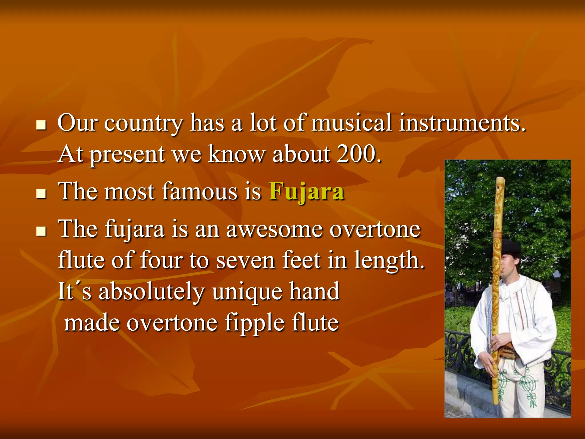 Slovak musical instruments | PDF