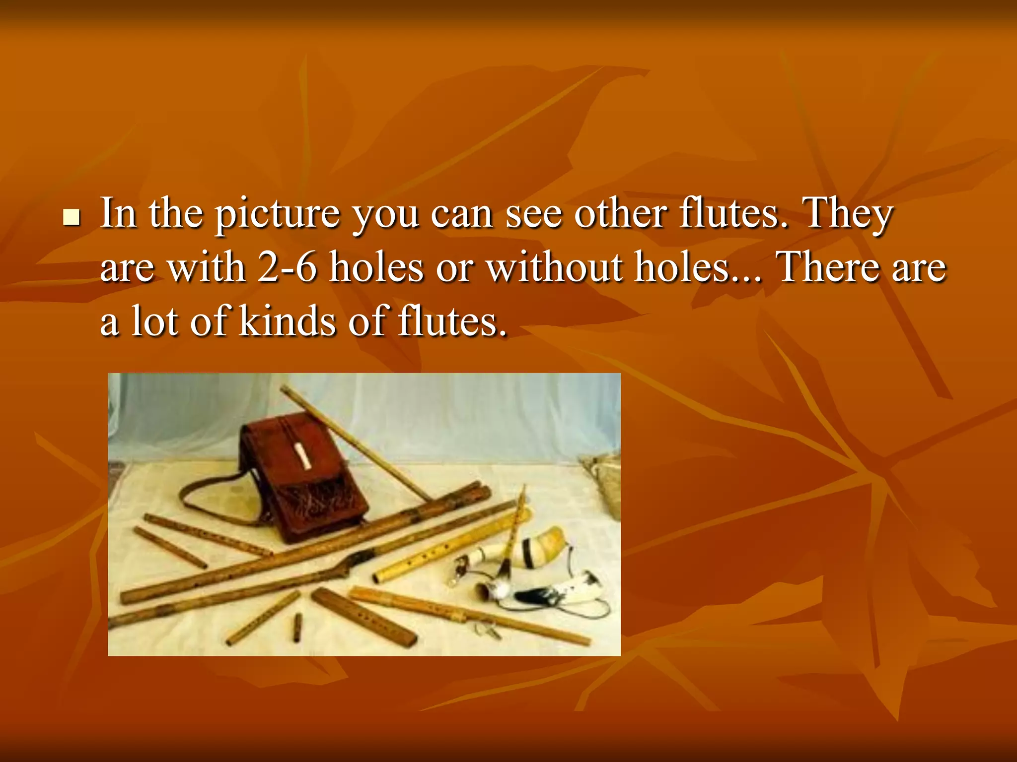 Slovak musical instruments | PDF