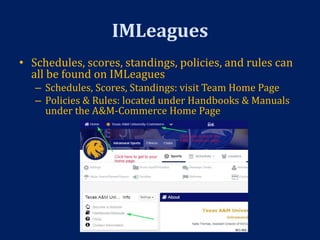 Slow Pitch Softball | PPT