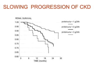 Slowing progression of ckd general | PPT