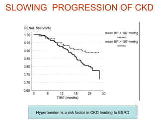 Slowing progression of ckd general | PPT
