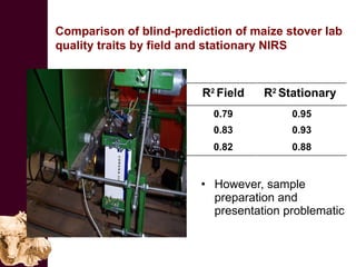 Improving the value of maize as livestock feed to enhance the ...