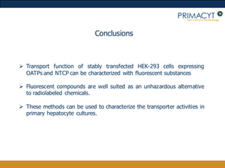 Transporter activity assays. Fluorescent compounds as replacement for ...