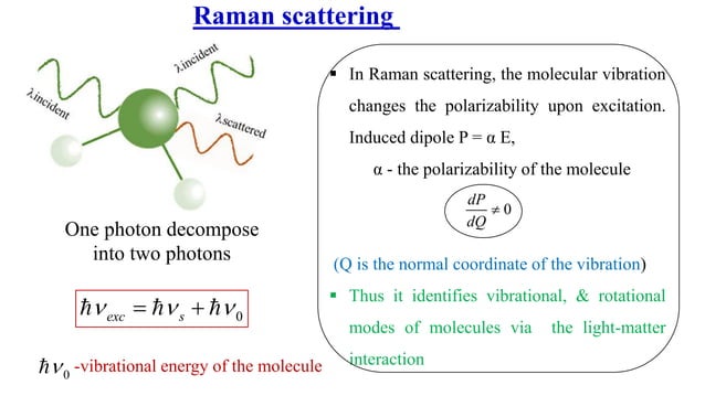 Surface Enhanced Raman Spectroscopy | PDF