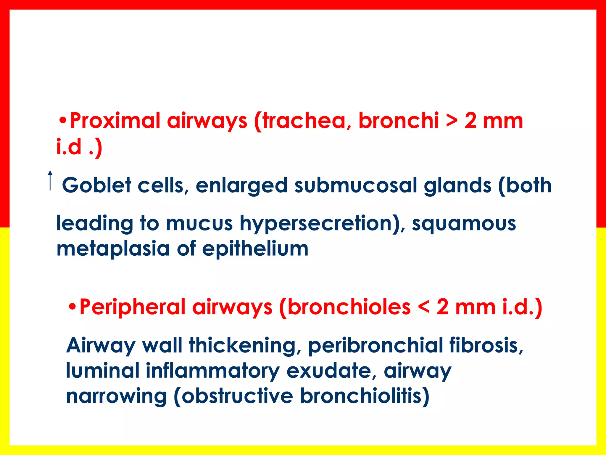 Chronic Obstructive Pulmonary Disease | PPTX