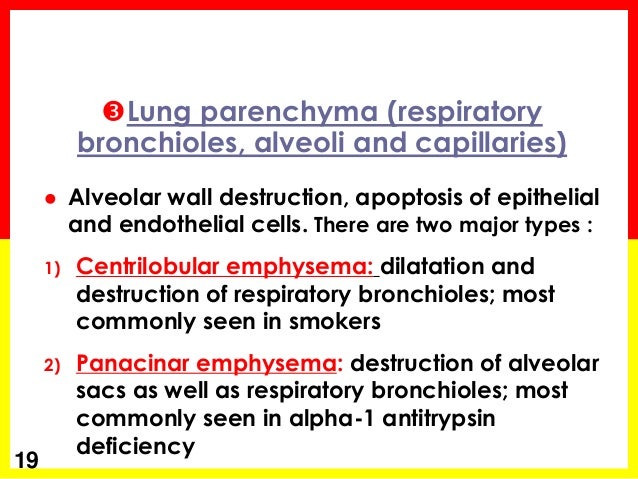 Chronic Obstructive Pulmonary Disease