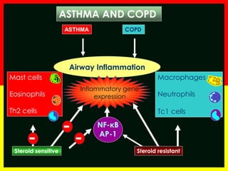 Inhaled corticosteroids in COPD | PPT