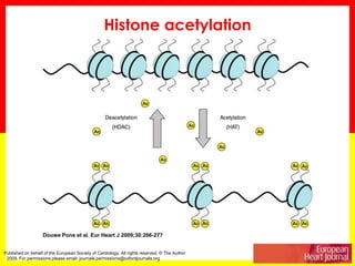 Inhaled corticosteroids in COPD | PPT