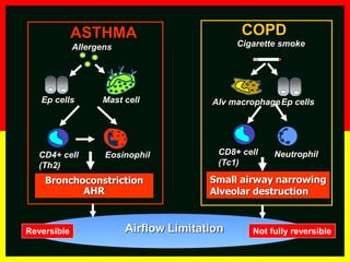 COPD back to basis | PPTX