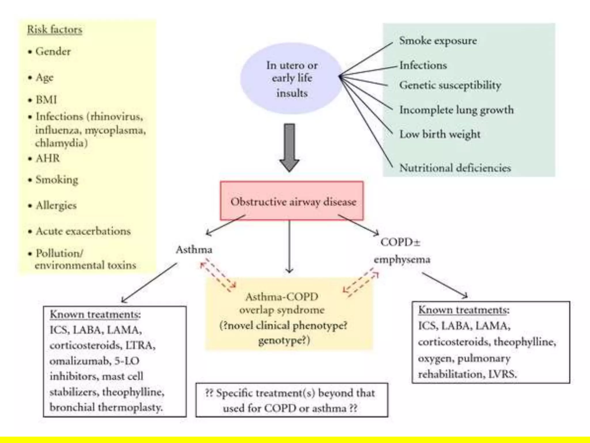 Asthma-COPD Overlap Syndrome (ACOS) | PPTX | Lung and Respiratory Health | Diseases and Conditions