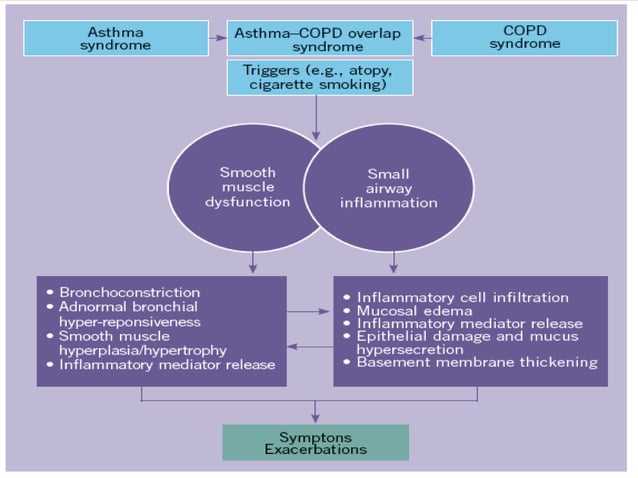 Asthma-COPD Overlap Syndrome (ACOS) | PPTX | Lung and Respiratory ...