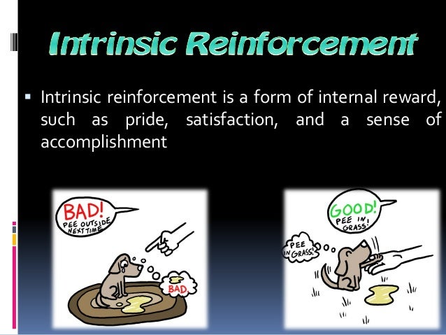 Social Learning Theory