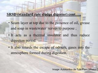 Sludge digestor | PPTX