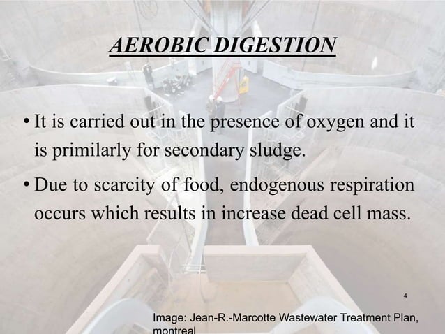 Sludge digestor | PPTX | Chemistry | Science