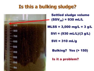 sludge-bulking.pdf