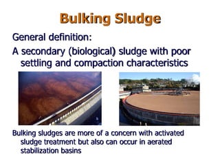 sludge-bulking.pdf