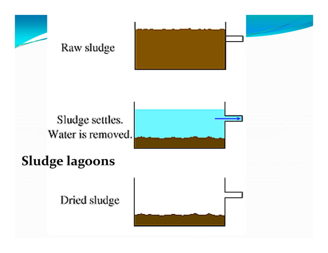 Sludge management and Sludge digesters | PDF | Chemistry | Science