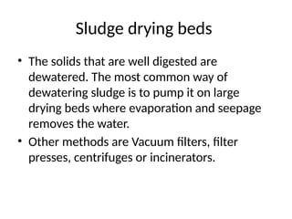 Detailed Procedure of Sludge Treatment.pptx