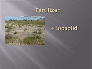 Sludge treatment and disposal | PPT