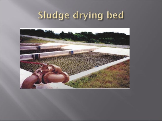 Sludge treatment and disposal