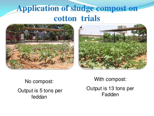 Sludge treatment through composting prior to reuse – the alexandria e…