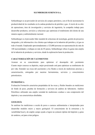 Sandoval Jenny-Slumberger surenco s.a. | PDF
