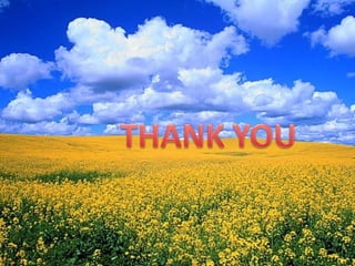 Slum study_Geography | PPT