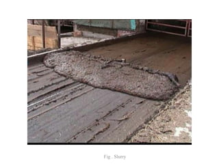 Slurry and pneumatic conveying | PPTX | Physics | Science