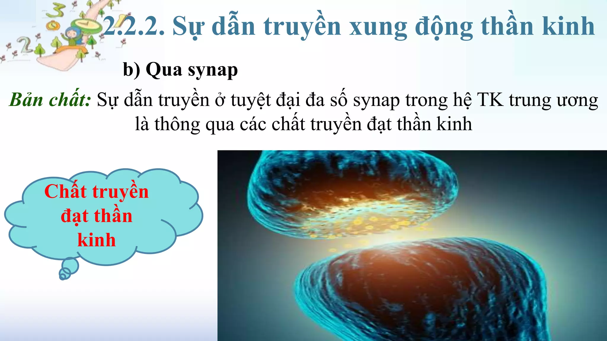 Sinh Lý Neuron - Thần Kinh | PPTX